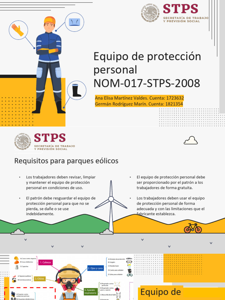 Nom 017 STPS 2008 - Epp | PDF