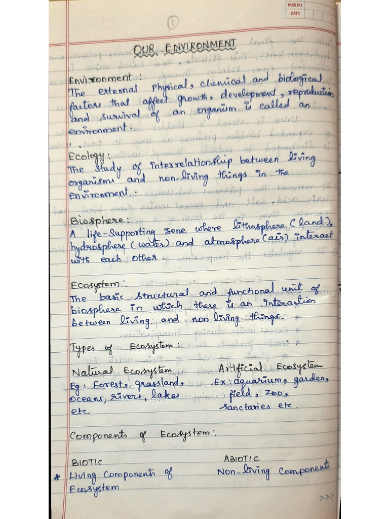 Our Environment Class 10 | PDF