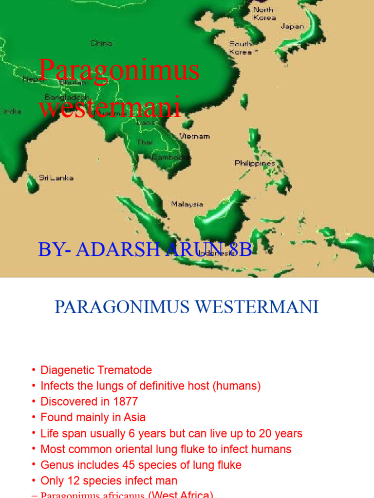 Paragonimus Family NEW | PDF | Medical Specialties | Epidemiology