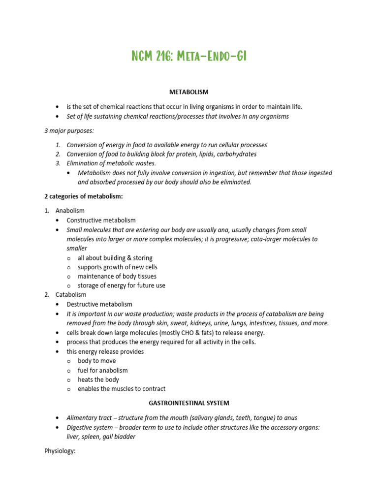 Meta Endo Gi | PDF | Digestion | Liver