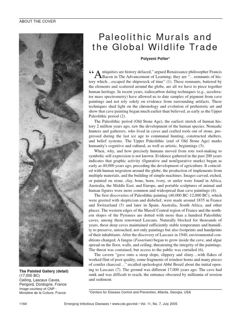 Paleolithic Murals 2005 | PDF | Paleolithic | Stone Age