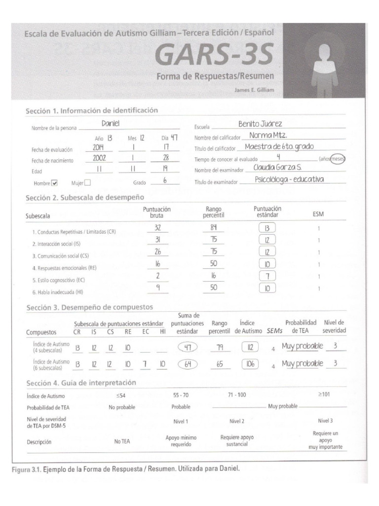 GARS 3 Ejemplo Modelo | PDF