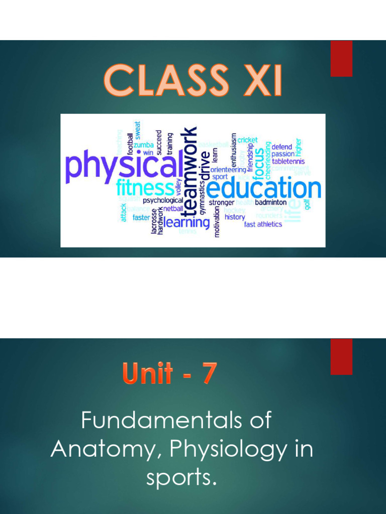 Chapter 7 Anatomy and Physiology | PDF | Artery | Heart
