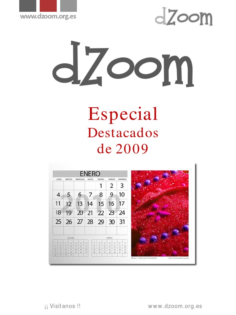 Dzoom Especial 2009 | PDF