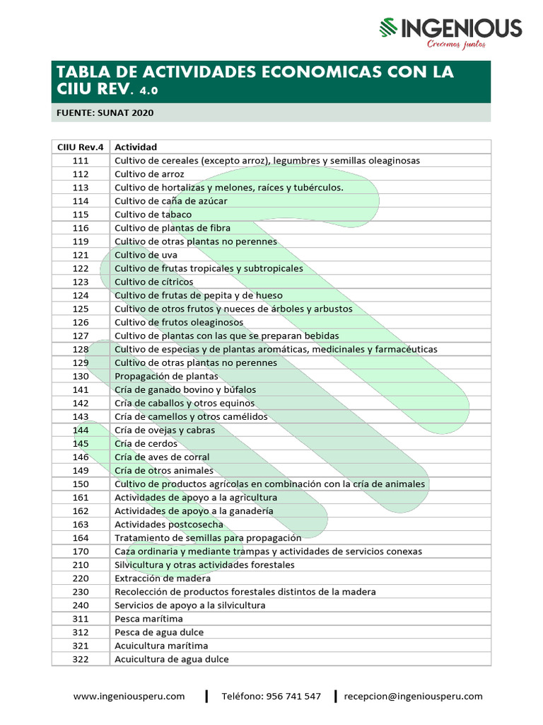 Ip Actividades Economicas Pdf Agricultura Transporte