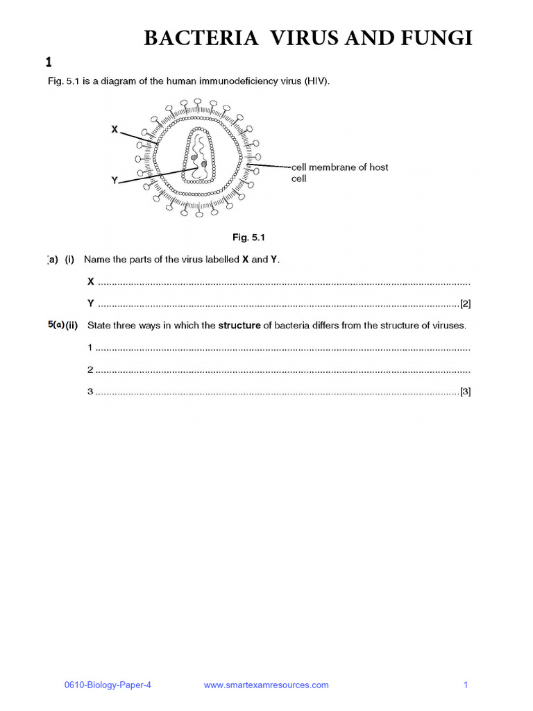 1.8.1 Bacteria Virus Fungi Questions and Answers | PDF | Cell (Biology ...