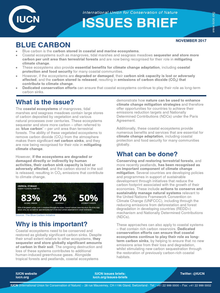 Blue Carbon Issues Brief | PDF | Climate Change | Climate Change Mitigation