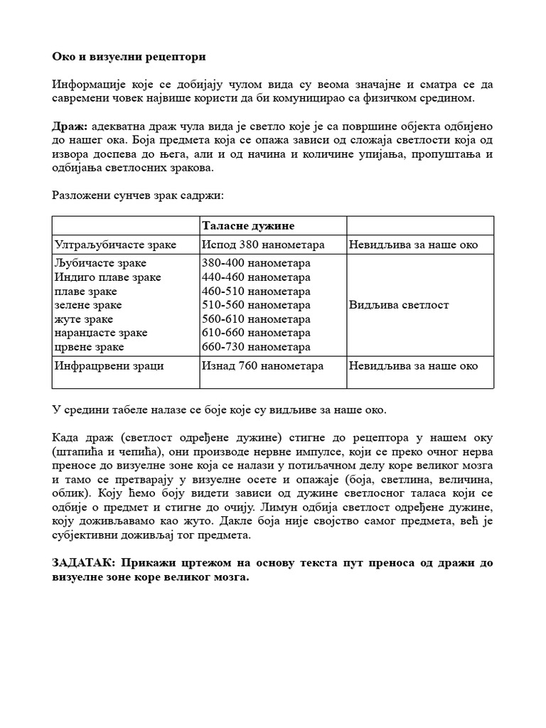 Oko I Vizuelni Receptori | PDF
