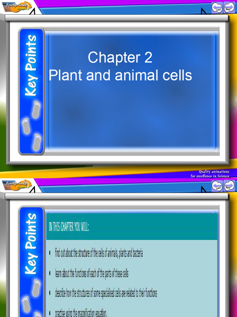 2.1 Plant and Animal Cells-1 | PDF | Cell (Biology) | Chloroplast