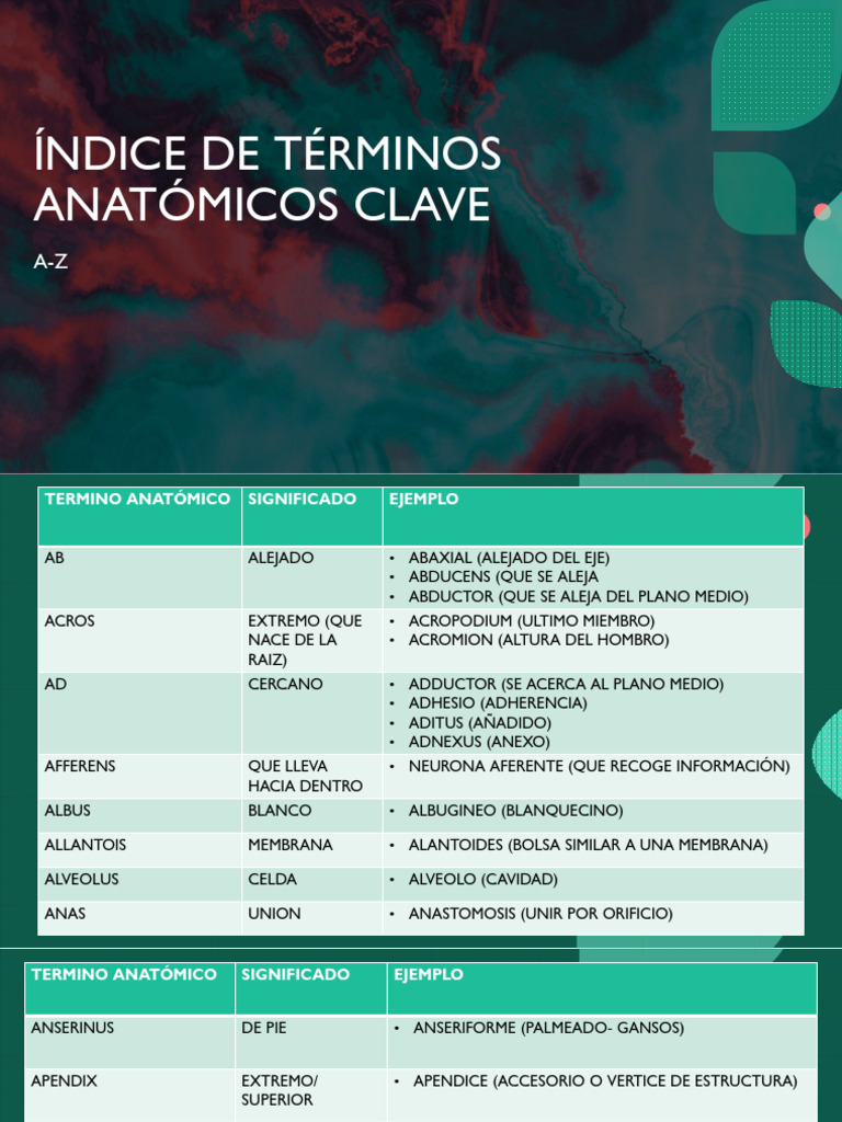 Glosario de Términos Anatómicos A-Z | PDF | Anatomía | Morfología ...