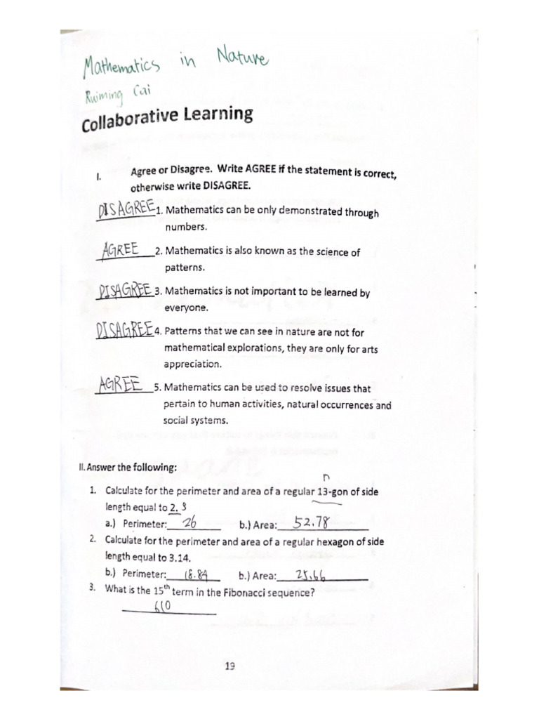 Cai - GE4 Final Project | PDF