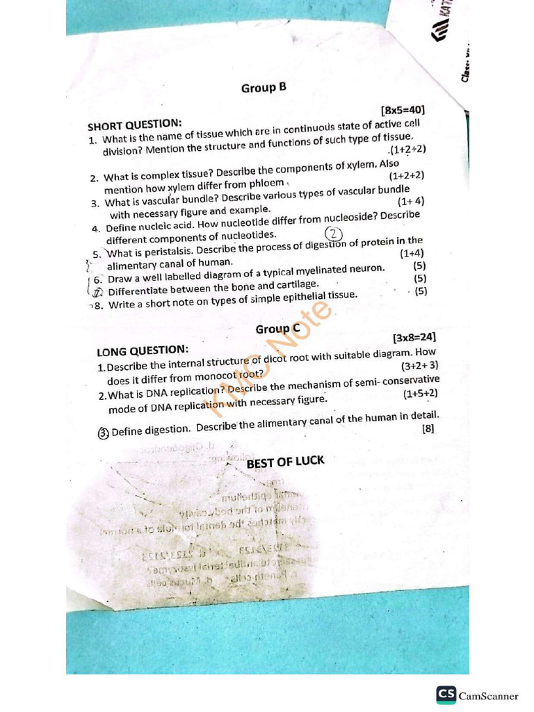 Bio First Terminal | PDF