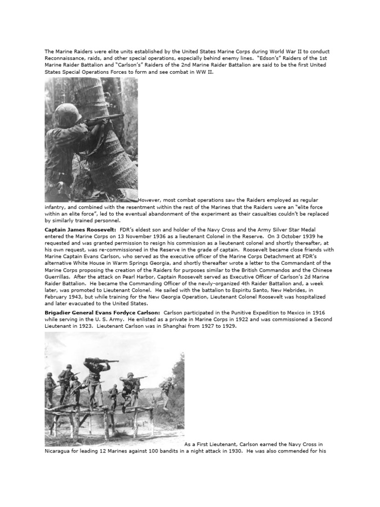 Marine Raiders: Elite WWII Special Ops | PDF | Military | Military ...