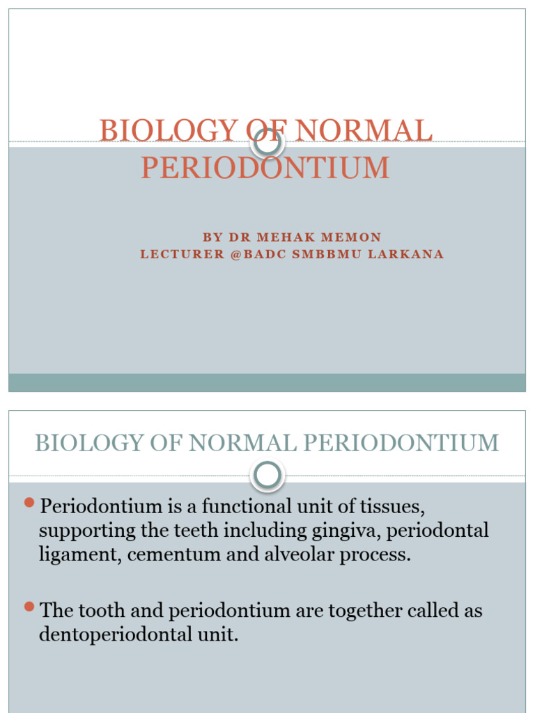 Biology of Normal Periodontium | PDF | Epithelium | Histology