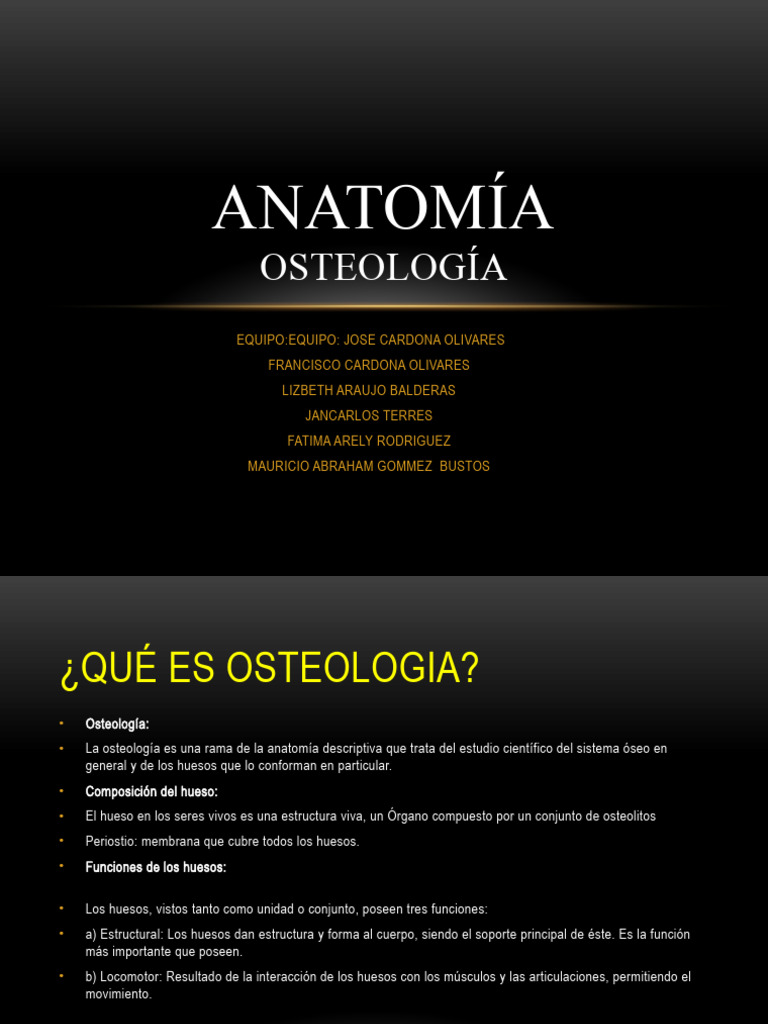 Anatomía Pdf Hueso Esqueleto