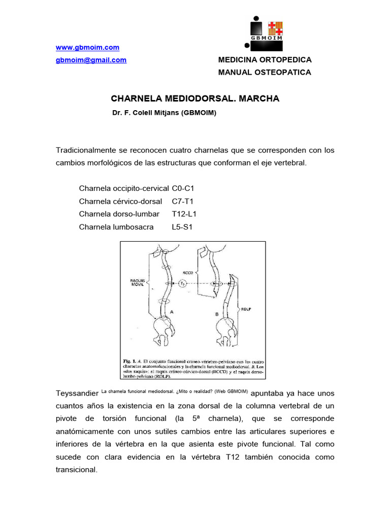 Charnela Mediodorsal. Marcha: Dr. F. Colell Mitjans (GBMOIM) | PDF | La ...