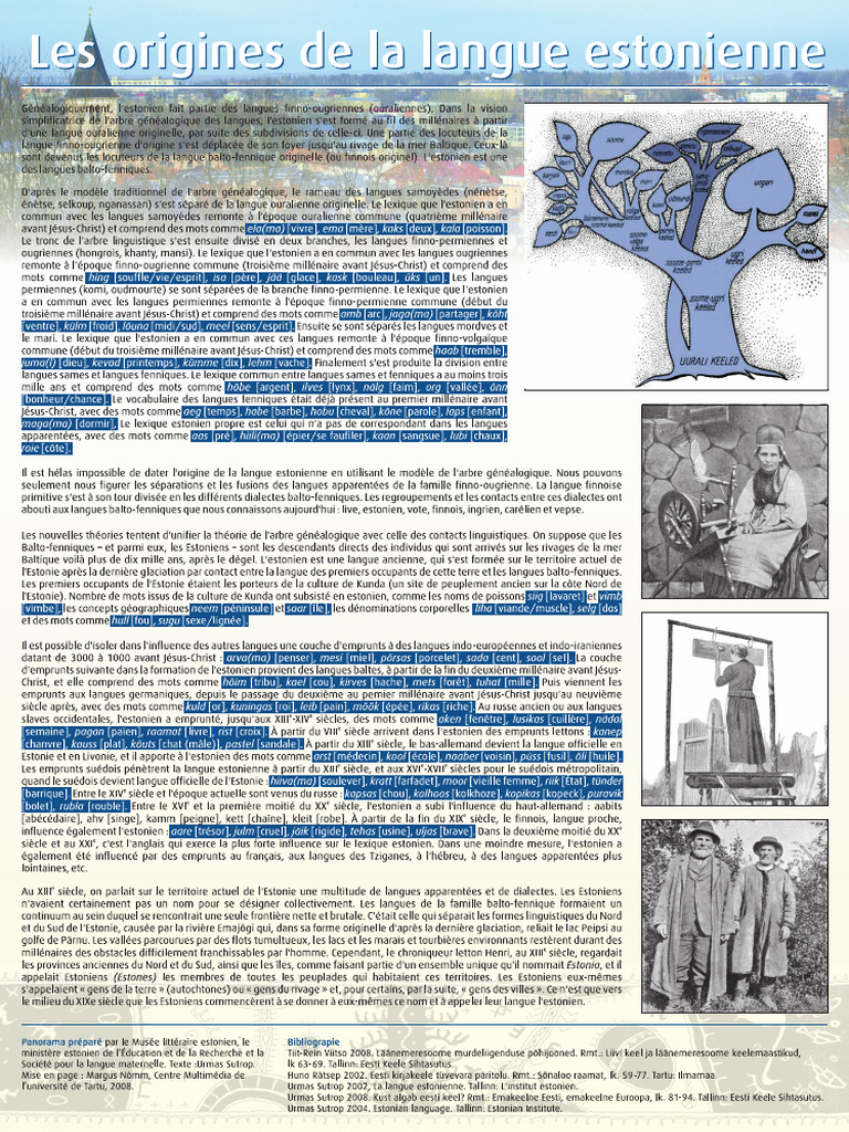 Les Origines de La Langue Estonienne | PDF
