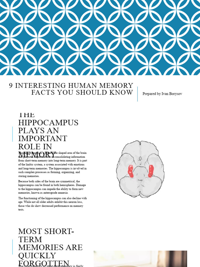 9 Memory Facts | PDF | Memory | Hippocampus