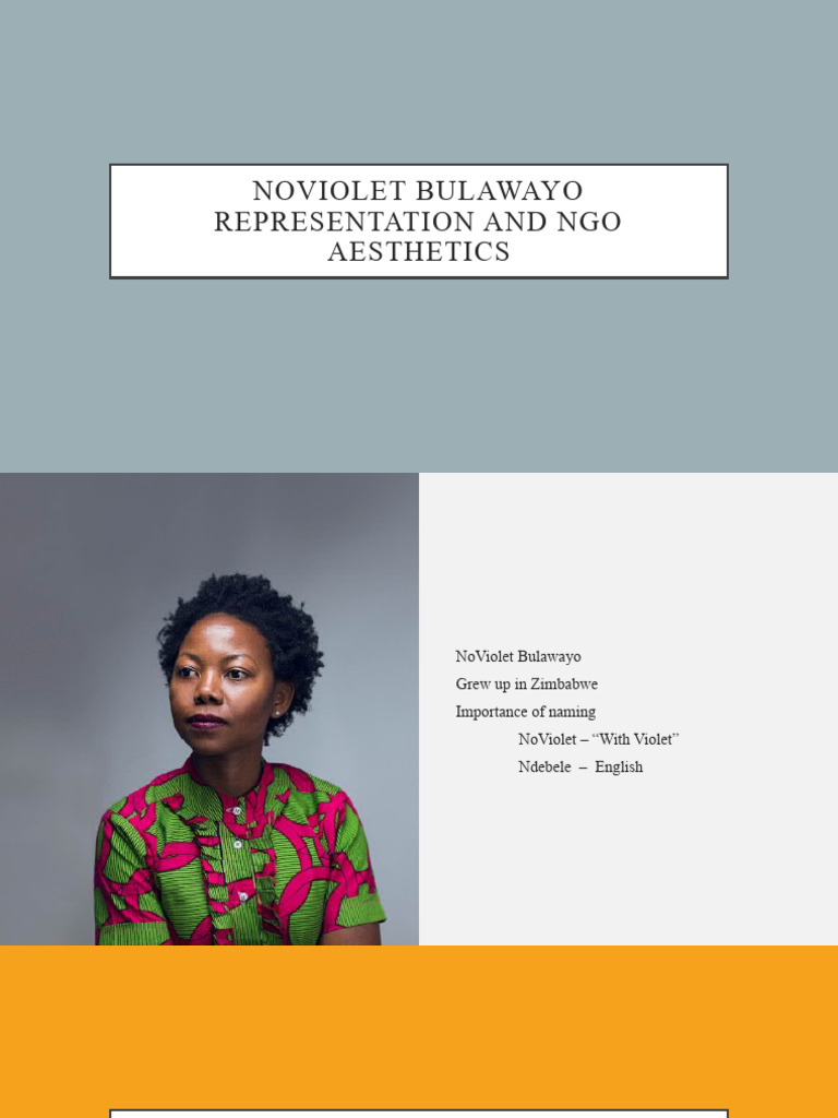 NoViolet Bulawayo: Identity and NGOs | PDF | Zimbabwe | Africa