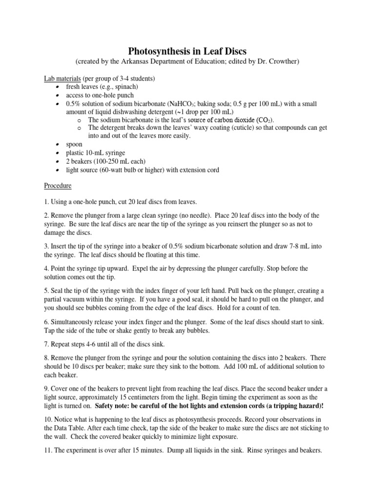 Leaf Disc Lab | PDF | Syringe | Sodium Bicarbonate