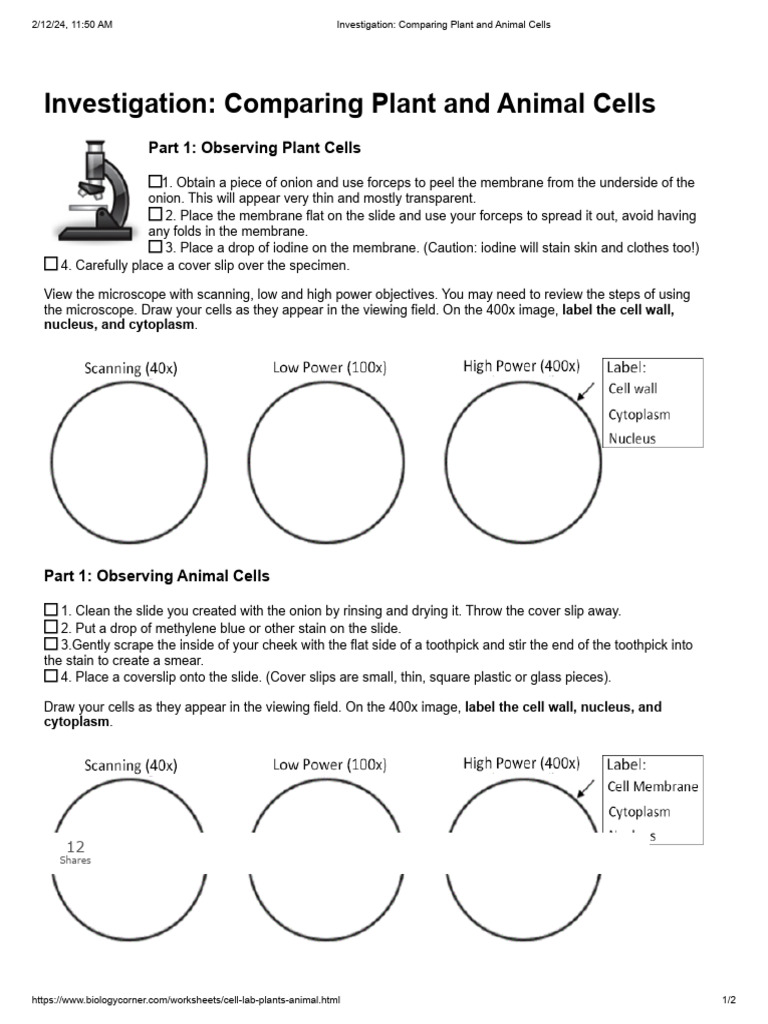 Comparing Plant and Animal Cells Lab | PDF | Microscope | Staining