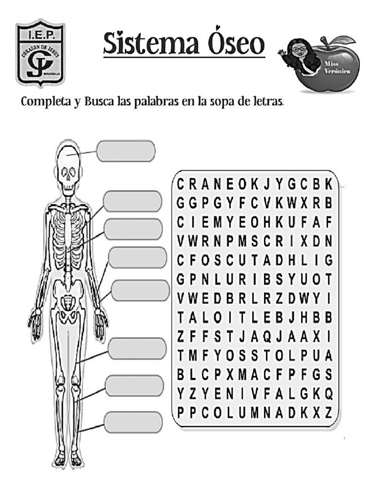 Sistema Oseo | PDF