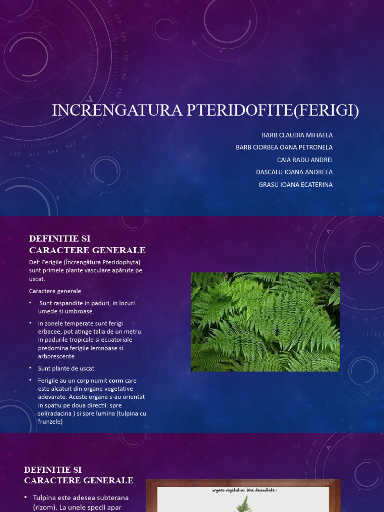 Pteridofite (Ferigi) | PDF