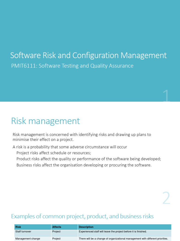 06.CM RM | PDF | Version Control | Risk
