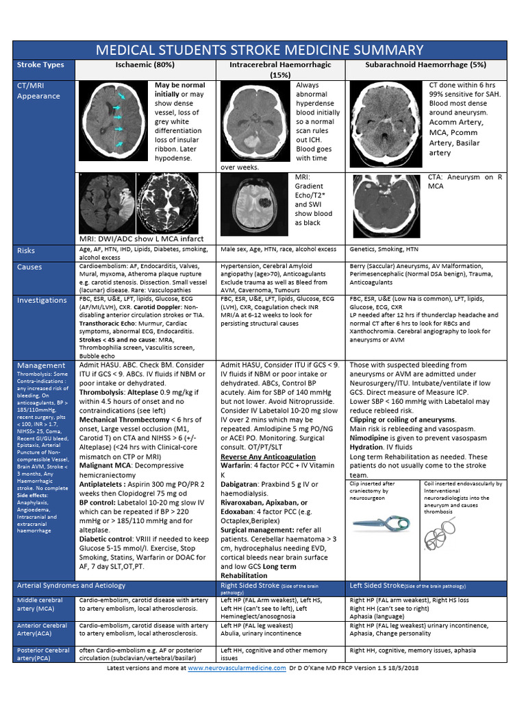 Stroke Medicine Overview for Students | PDF | Stroke | Causes Of Death
