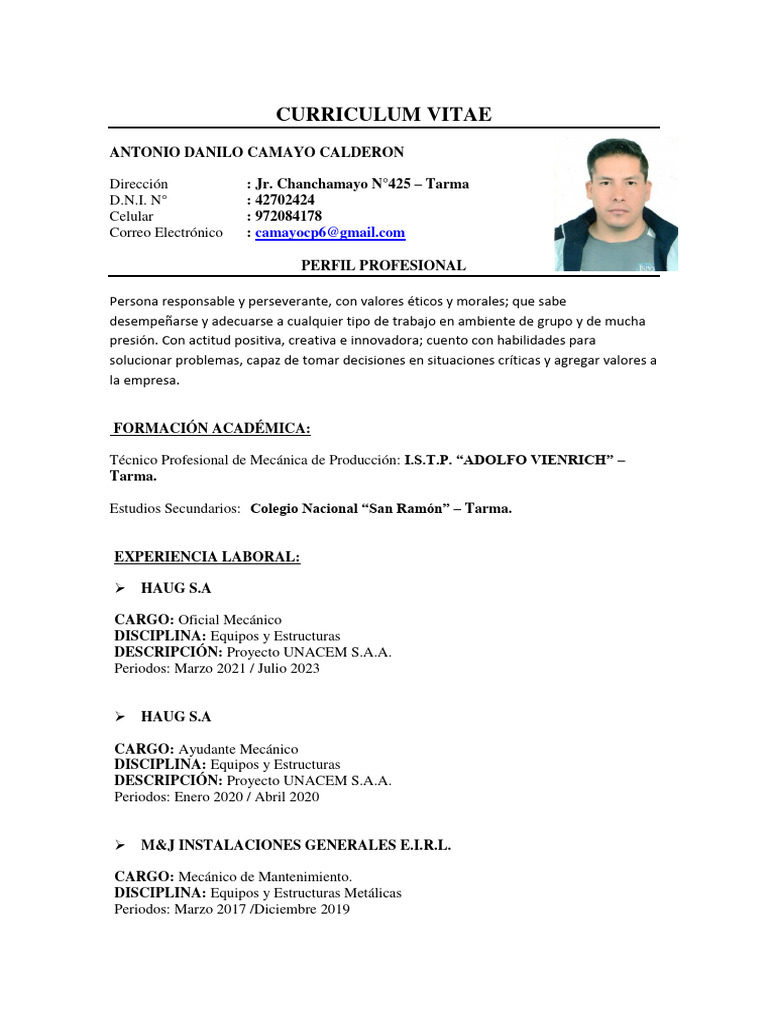 CURRICULUM VITAE Danilo MAININ 2023a | PDF
