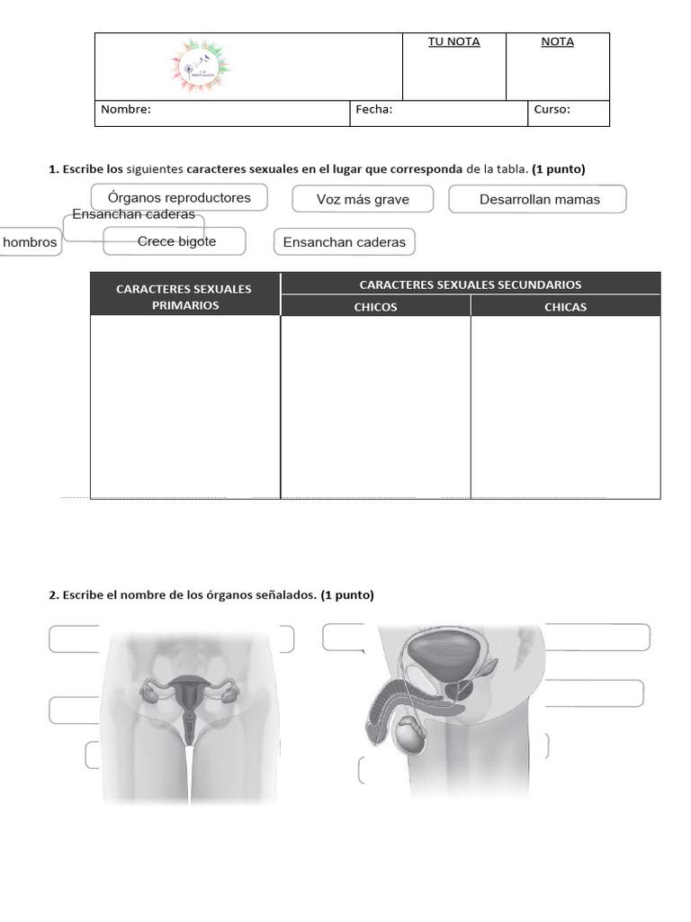 Prueba CCNN Tema 3 La Reproduccion | PDF | Sistema reproductivo | El ...