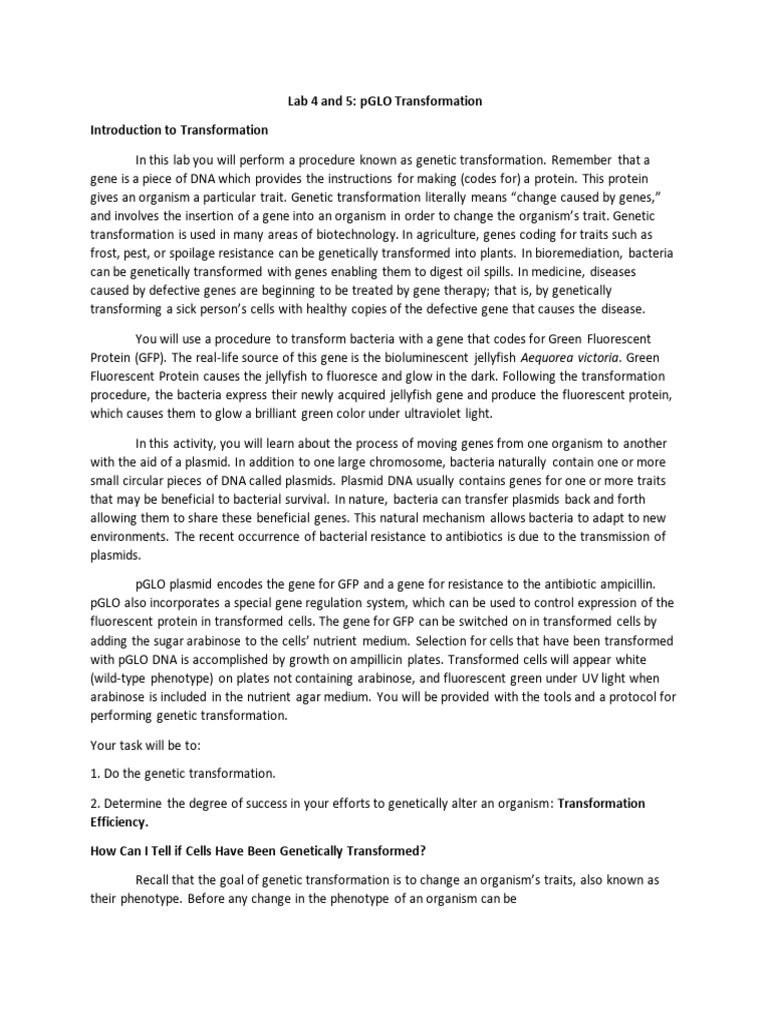 Lab 4 and 5 pGLO Protein Transformation | PDF | Transformation ...