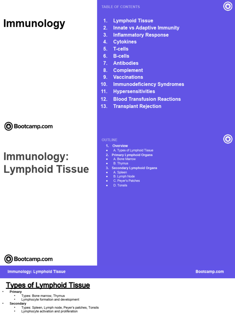 Immunology | PDF | Complement System | B Cell