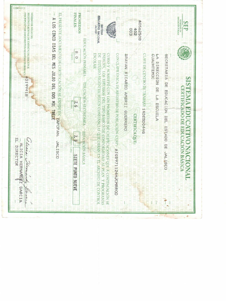 Ambriz Guerrero Brayan Ricardo | PDF