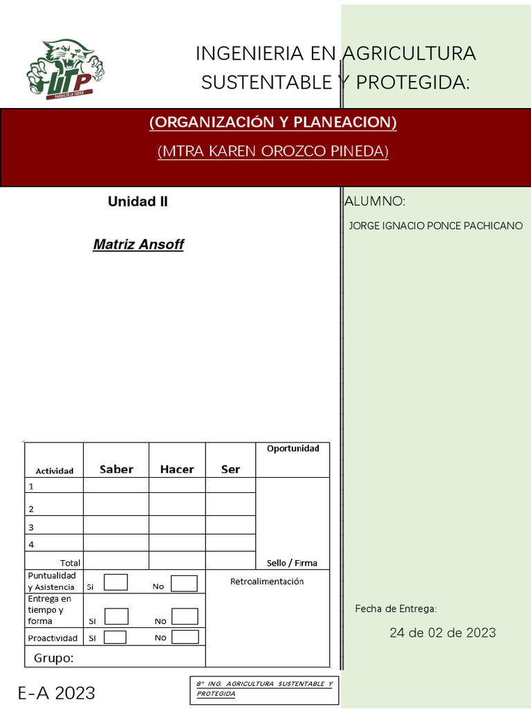 Matriz Ansoff de Netflix: Estrategias Clave | PDF | Streaming Media ...