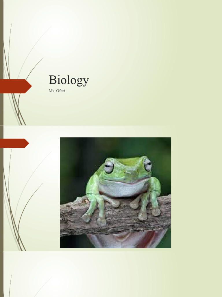 Biology Toad 1 | PDF | Frog | Mouth