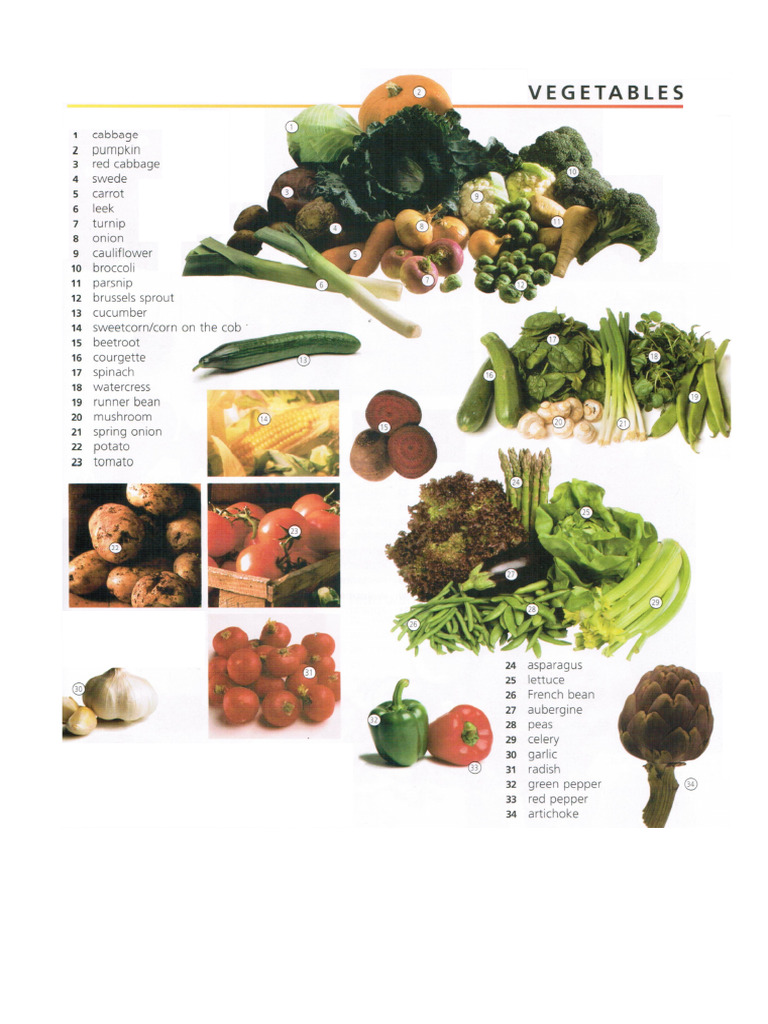 Vocabulary - Vegetables | PDF