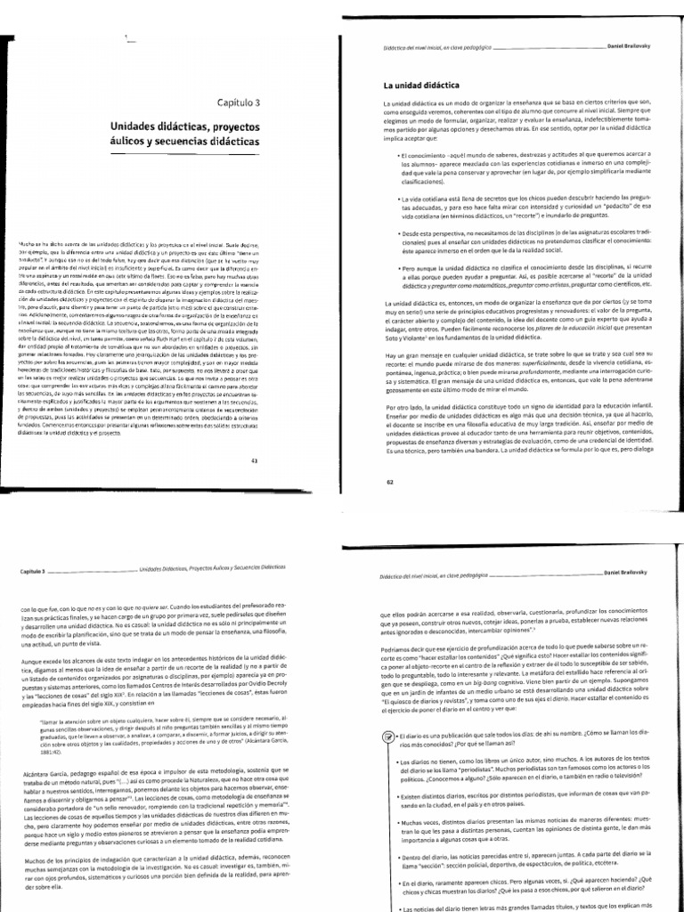 cap_3_Didactica_del_nivel_inicial_Brailovsky_unid_231119_110602 | PDF
