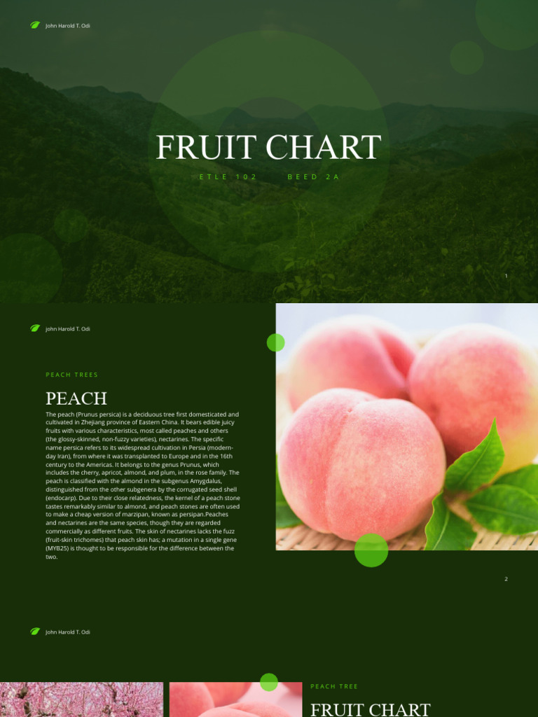 ETLE | PDF | Peach | Vegan Cuisine