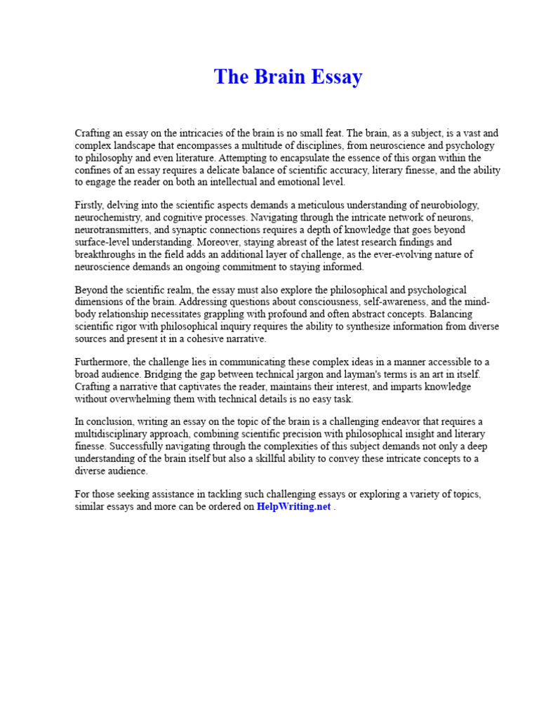 The Brain Essay | PDF | Neuroscience | Brain