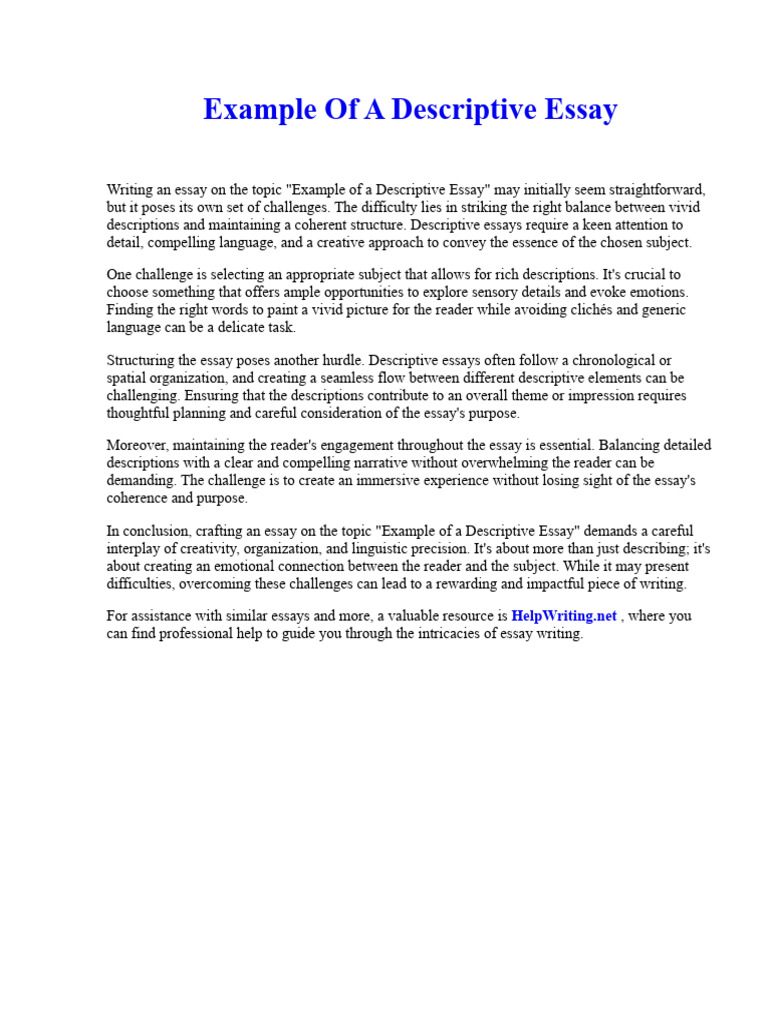 Example of A Descriptive Essay | PDF | Citigroup | Financial Risk