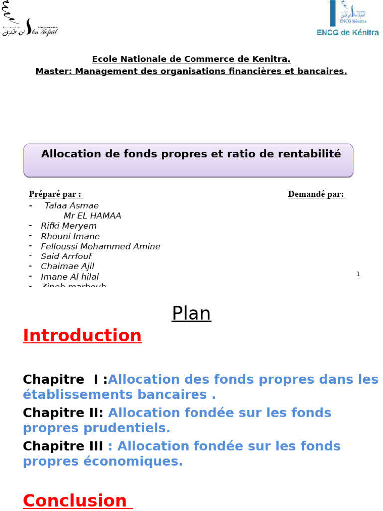 Allocation des fonds propres et rentabilité | PDF | Bâle II | Capitaux ...