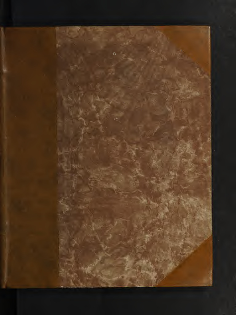 El Discurso de Los Efectos Naturales de Los Cometas | PDF | Astronomy ... El Discurso de Los Efectos Naturales de Los Cometas | PDF | Astronomy ...