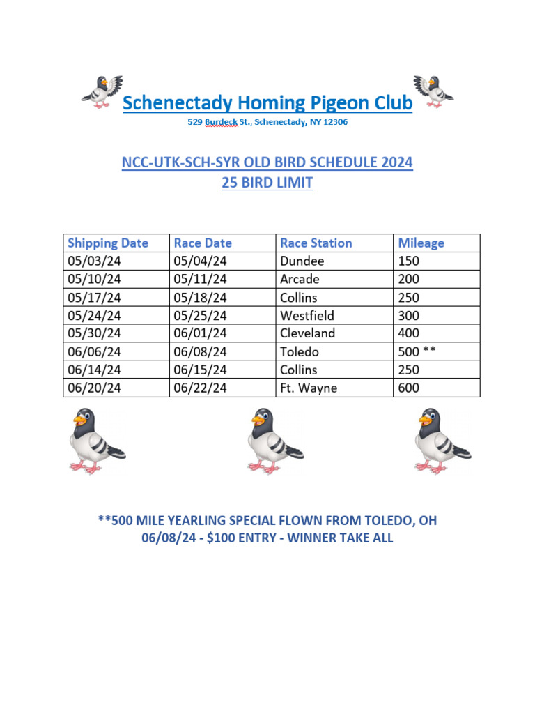 Race Schedule Ob 2024 | PDF