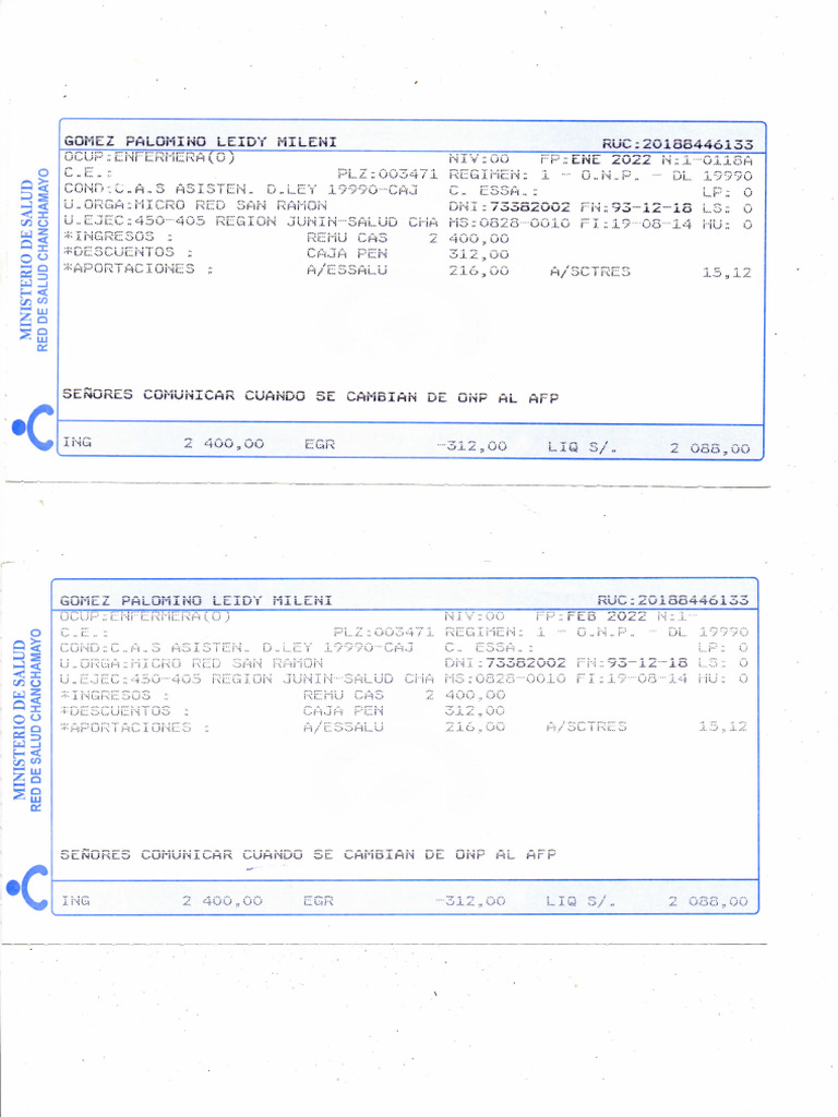 Boletas de Pago 2022 | PDF