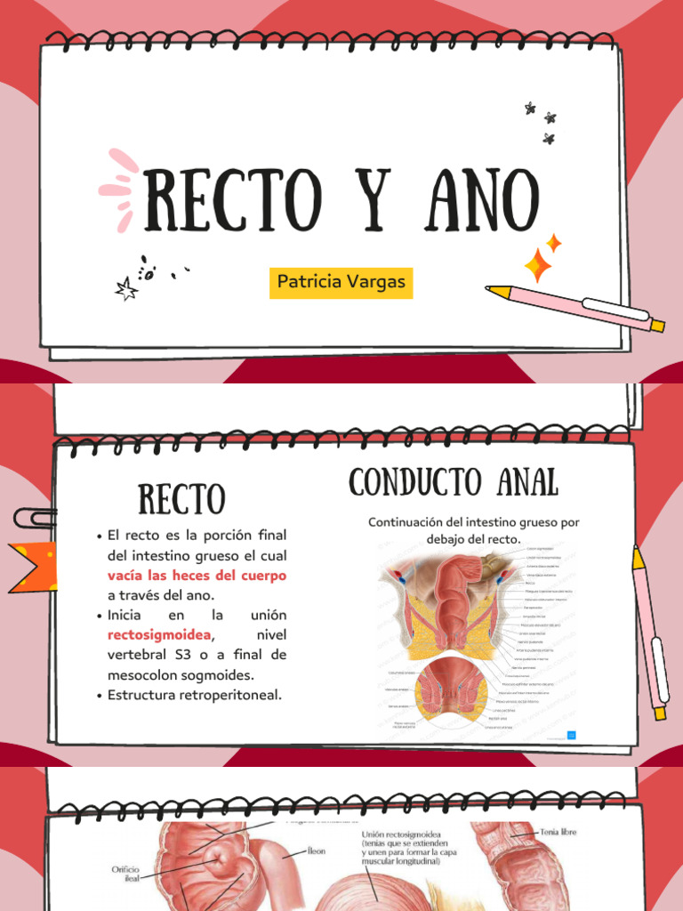 Ano, Recto y Páncreas | Descargar gratis PDF | Hemorroides | Páncreas