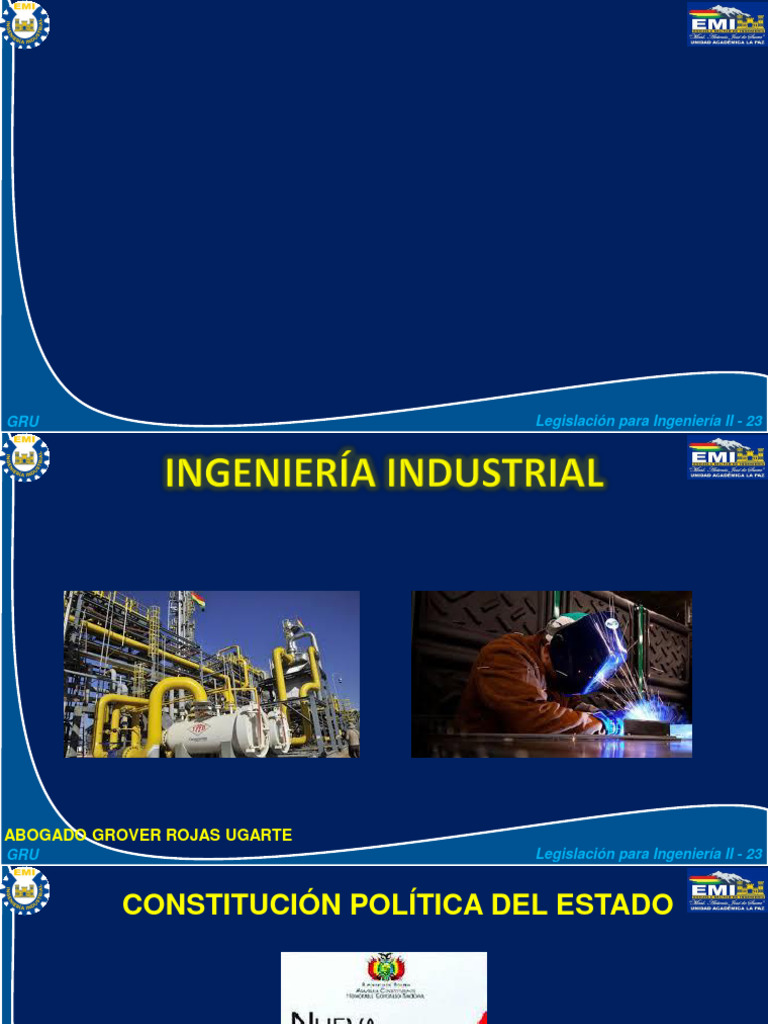 La Constitucion Politica Del Estado 1 Pdf Legislador Constitución