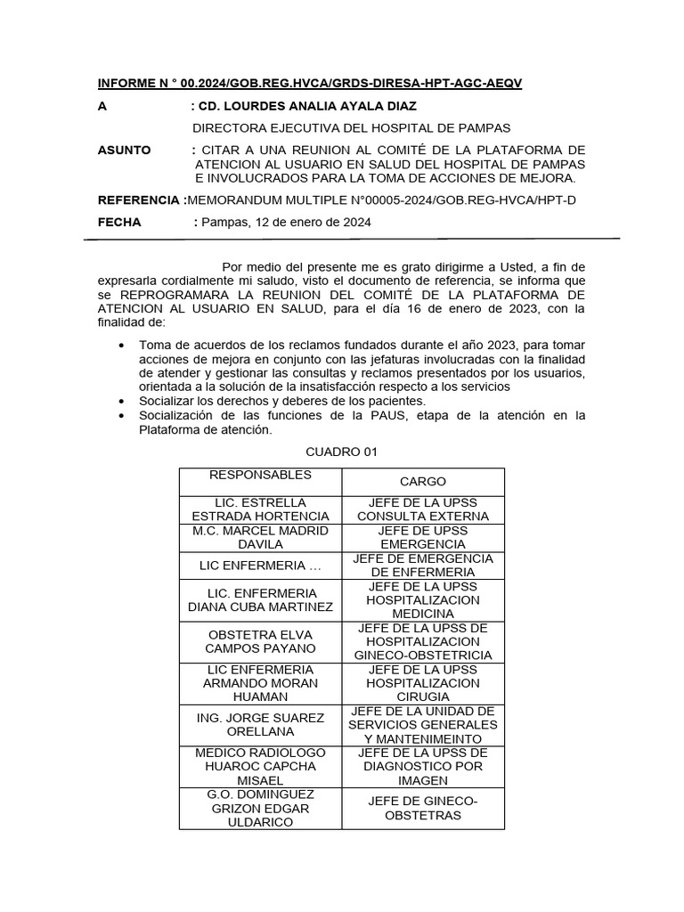 INFORME Reprogramacion | PDF | Hospital