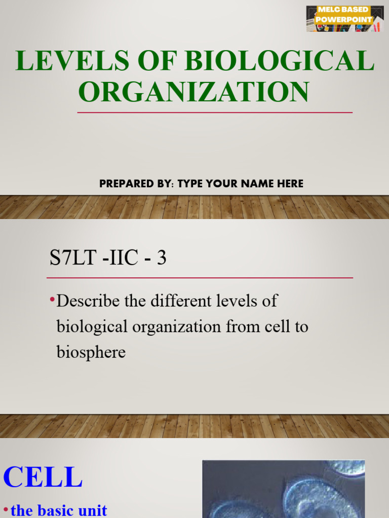 Levels of Biological Organization | PDF | Human Body | Ecosystem