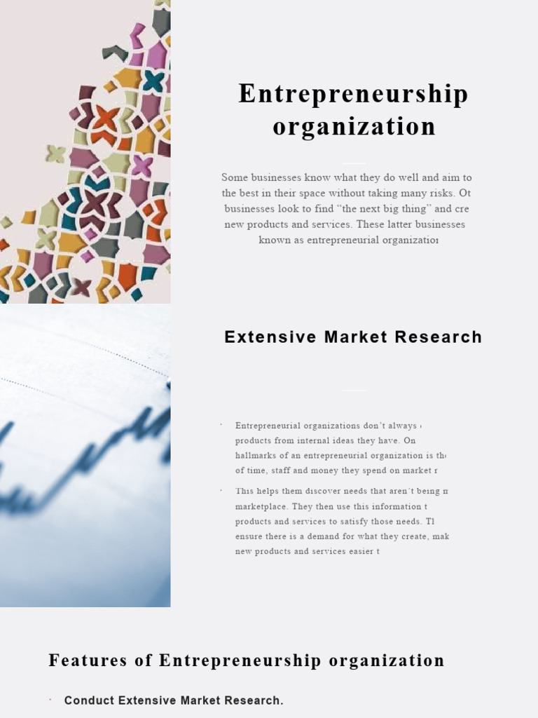 Entrepreneurship Organization | PDF | Entrepreneurship | Marketing Research